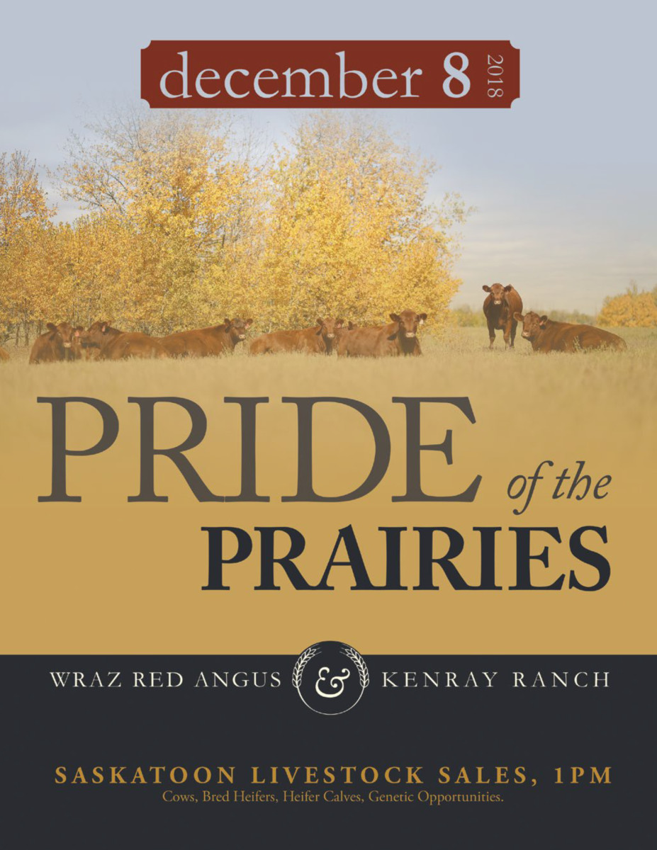 3rd Annual Pride of the Prairies Red Angus Female Sale - Golden Thread ...